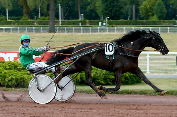 High-Ranking Website for Le Pronostic Canalturf.com: Garuda Fligny and ...