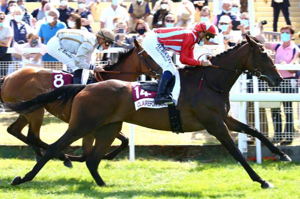 FRANKEL'S MAGIC - La fiche CANALTURF du cheval, performances pmu ...