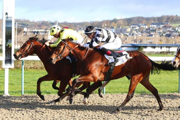 BLACK CESS - La fiche CANALTURF du cheval, performances pmu, pédigré ...