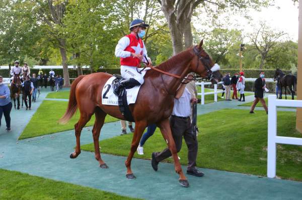BARBADIN - La fiche CANALTURF du cheval, performances pmu, pédigré ...