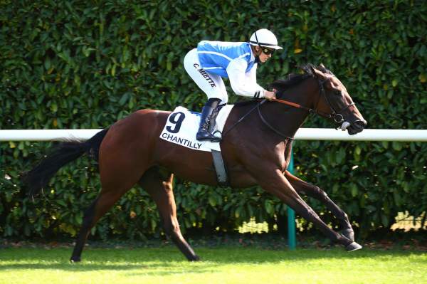 FRONTGATE - La fiche CANALTURF du cheval, performances pmu, pédigré ...