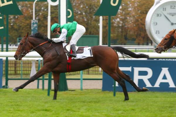 STAR LAD - La fiche CANALTURF du cheval, performances pmu, pédigré ...