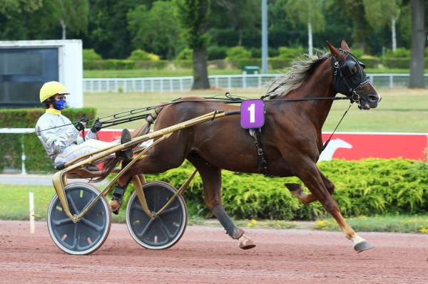 BRAND ROC - La fiche CANALTURF du cheval, performances pmu, pédigré ...