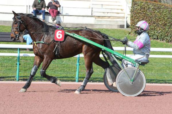 GOLD DU VAL - La fiche CANALTURF du cheval, performances pmu, pédigré ...