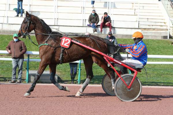 GADGET DU LOUVET - La fiche CANALTURF du cheval, performances pmu ...