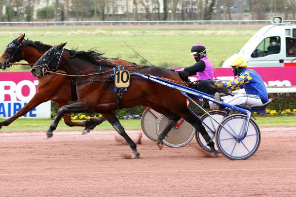 ERIC THE EEL - La fiche CANALTURF du cheval, performances pmu, pédigré ...