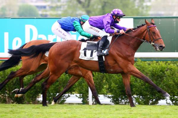 TURANIA - La fiche CANALTURF du cheval, performances pmu, pédigré ...