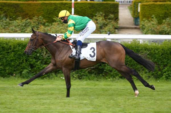 Découvrez les selections turf gagnantes et placées du Jeudi 8 juillet ...