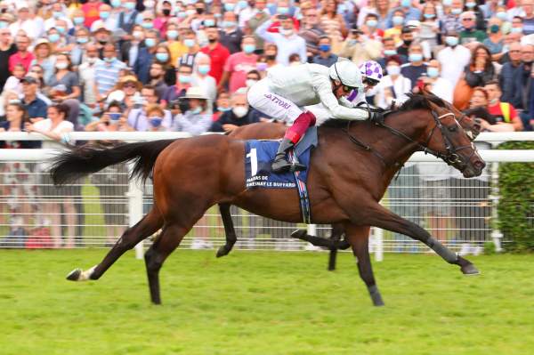 Arrivée PMU Prix du Haras de Fresnay-Le-Buffard - Jacques le Marois (Gr ...