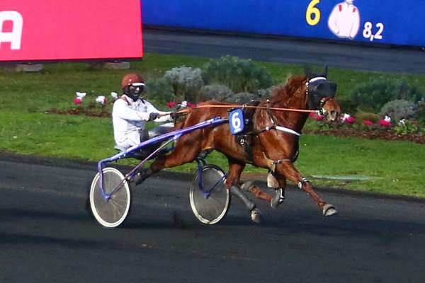 Canalturf.com and ZEturf.fr Racing Predictions: Best Tips and ...