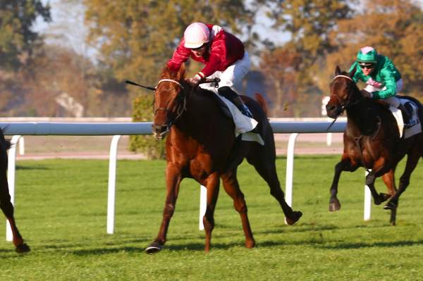 Pronostic gratuit du PRIX MONT D'ARGUEL - 19 mars 2024 par Canalturf