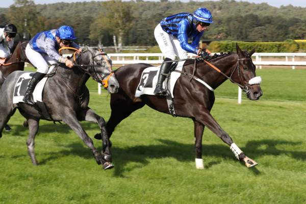 Pronostic gratuit du PRIX DU DOUET DE MONNEROT - 2 mars 2024 par Canalturf