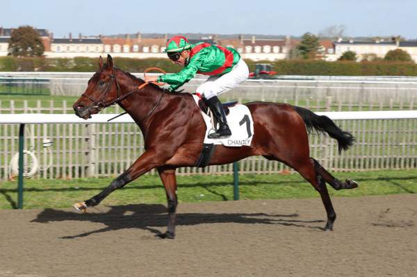 AL MUNDHER - La fiche CANALTURF du cheval, performances pmu, pédigré ...