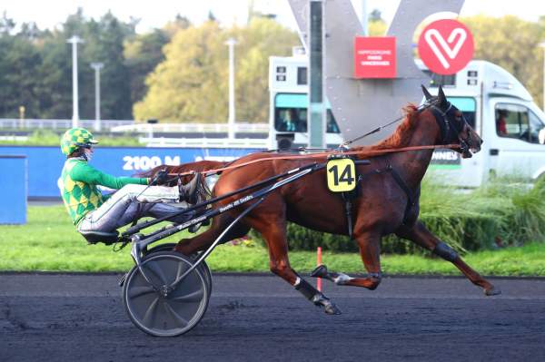 JOUMBA DE GUEZ - La fiche CANALTURF du cheval, performances pmu ...