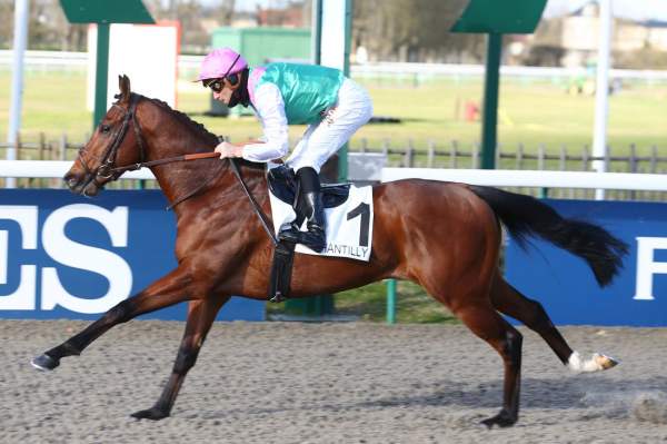 PERVADE - La fiche CANALTURF du cheval, performances pmu, pédigré ...