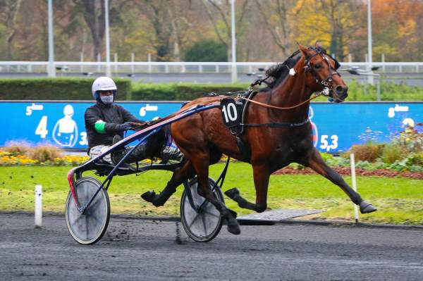 BACCO DEL RONCO - La fiche CANALTURF du cheval, performances pmu ...