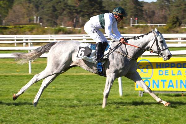 BAMBAGIA - La fiche CANALTURF du cheval, performances pmu, pédigré ...