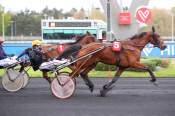 Pronostic gratuit du PRIX DU JARDIN SAINT-ACHEUL - 8 juin 2026 par ...