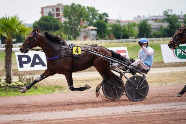 Canalturf : Pronostics Quinté PMU gratuits, résultat et rapports des ...
