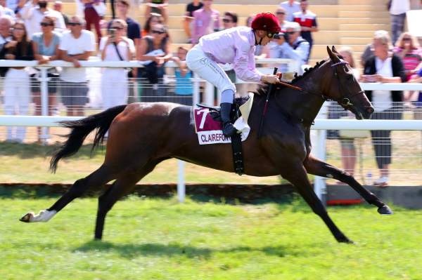 Canalturf.com's Expert Horse Racing Predictions: Warm Day, Sea the Sky ...