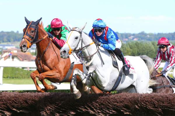 ASHTANA - La fiche CANALTURF du cheval, performances pmu, pédigré ...