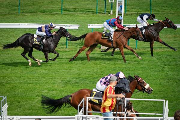 Arrivée du Quinté Prix de Compiègne Cité Impériale, mercredi, à ...