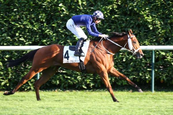 Pronostic gratuit du PRIX YVES SAINT-MARTIN - 19 juill. 2024 par Canalturf