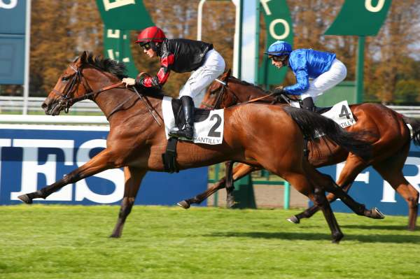 JANNAH ROSE - La fiche CANALTURF du cheval, performances pmu, pédigré ...