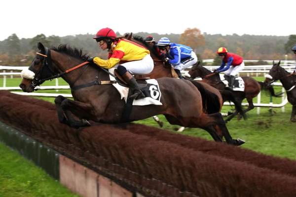 Pronostic Prix Georges Pastre - Quinté du meeting d'hiver à Pau ...
