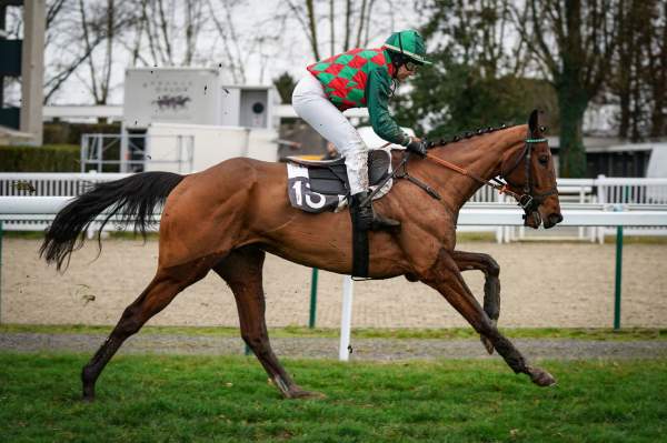 Pronostic gratuit du PRIX AL CAPONE II - 17 juin 2023 par Canalturf