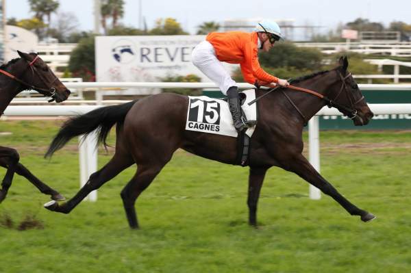 YES FOR EVER - La fiche CANALTURF du cheval, performances pmu, pédigré ...