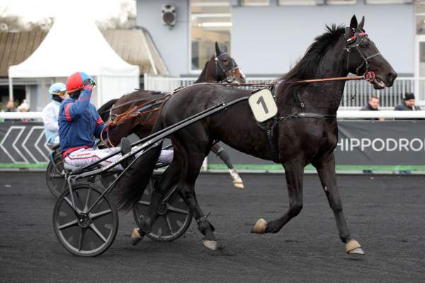 DAD DEL RONCO - La fiche CANALTURF du cheval, performances pmu, pédigré ...