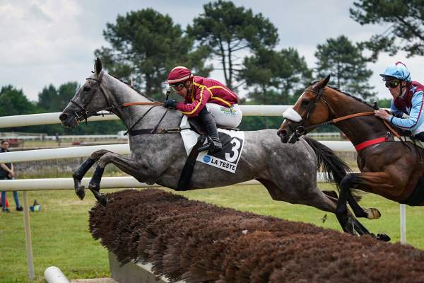 Pronostic and Selections for Upcoming Horse Racing Events – Archyde