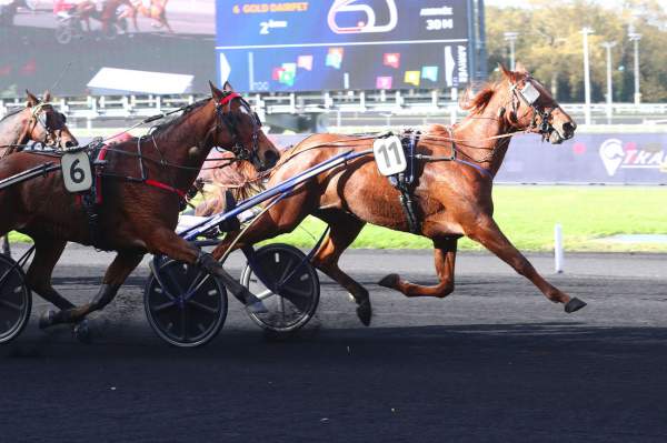 Arrivée du quinté+ Prix de Soulac, jeudi, à Vincennes. A GHALIE DU ...