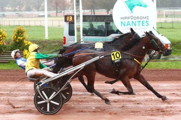 Arrivée Du Quinté 13e étape Du Grand National Du Trot Mercredi à
