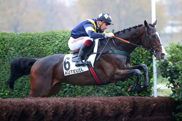 JIGME - La fiche CANALTURF du cheval, performances pmu, pédigré ...