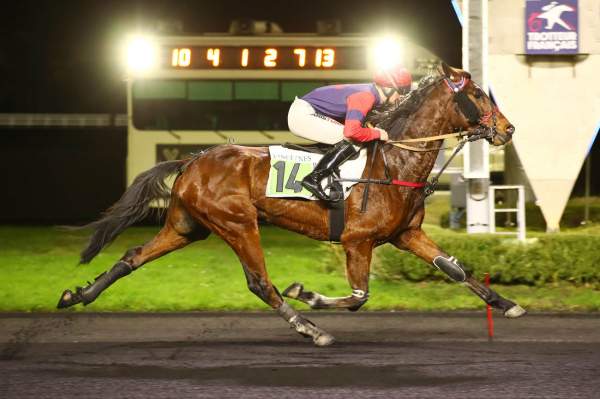 Pronostic gratuit du PRIX DE PONT-A-MOUSSON - 17 janv. 2024 par Canalturf