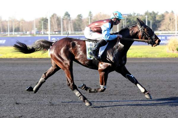 KINDER QUICK - La fiche CANALTURF du cheval, performances pmu, pédigré ...