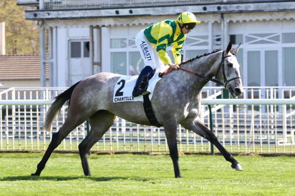 ROSIR - La fiche CANALTURF du cheval, performances pmu, pédigré ...