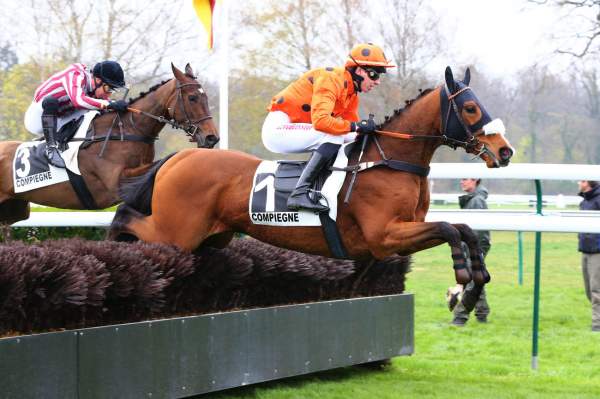 WORTH A TEAM - La fiche CANALTURF du cheval, performances pmu, pédigré ...