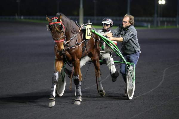 IOUP LA BOUM - La fiche CANALTURF du cheval, performances pmu, pédigré ...