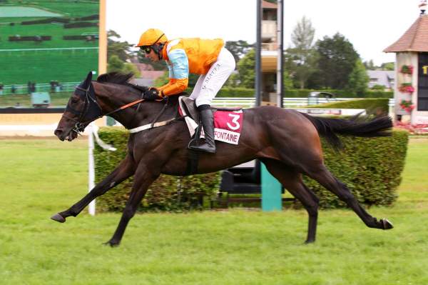 GARIBALDI - La fiche CANALTURF du cheval, performances pmu, pédigré ...