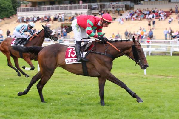 HOLINDA HAS - La fiche CANALTURF du cheval, performances pmu, pédigré ...