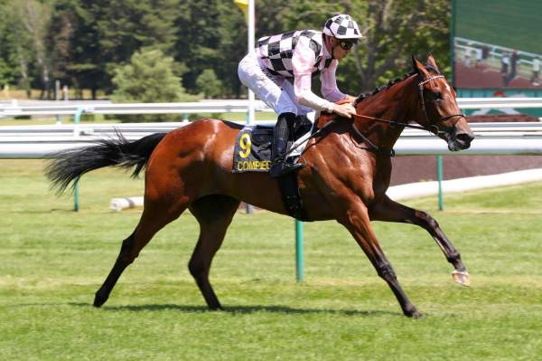 MINOUSHKA - La fiche CANALTURF du cheval, performances pmu, pédigré ...