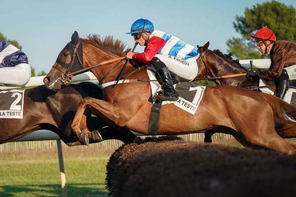 Pronostic gratuit du PRIX ALEC CARTER - 15 mars 2025 par Canalturf