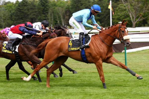 MARELIE - La fiche CANALTURF du cheval, performances pmu, pédigré ...