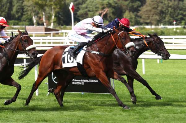 BLACK CESS - La fiche CANALTURF du cheval, performances pmu, pédigré ...