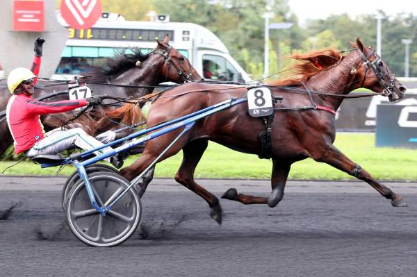 JOSH POWER - La fiche CANALTURF du cheval, performances pmu, pédigré ...