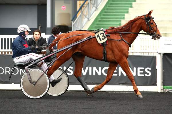 FAHRENHEIT FLOWER - La fiche CANALTURF du cheval, performances pmu ...