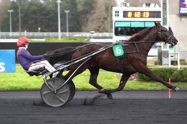 JAHA MAN DU PONT - La fiche CANALTURF du cheval, performances pmu ...
